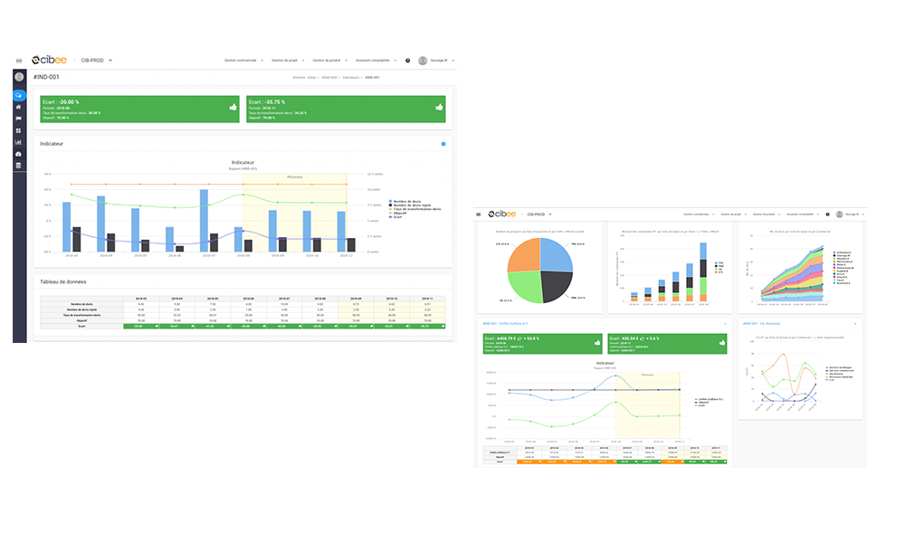 objectif-stratégie - Cibee